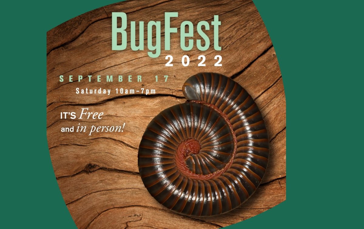 Los insectos más extraños en el BugFest de Raleigh | Qué Pasa