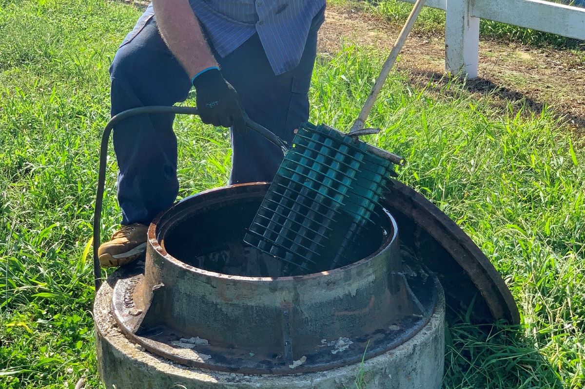 Cómo cuidar el tanque séptico | Qué Pasa