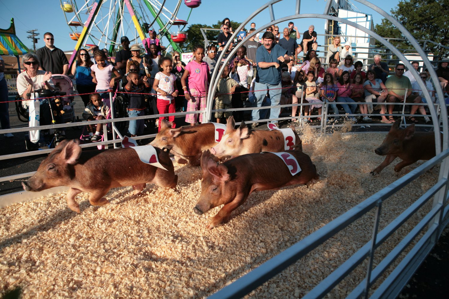 Música y entretenimiento en la Carolina Classic Fair 2023 | Qué Pasa