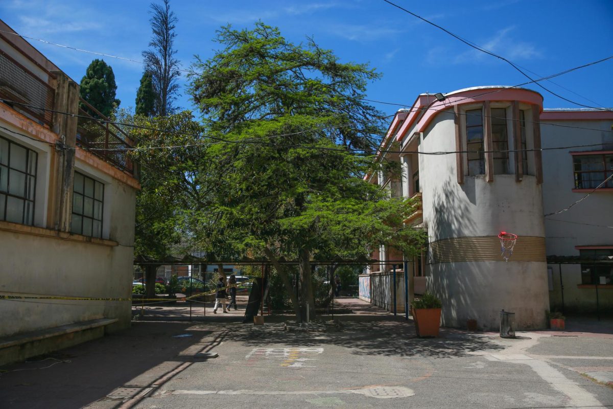 Con un homenaje a tres destacados arquitectos, Uruguay celebra su Día ...