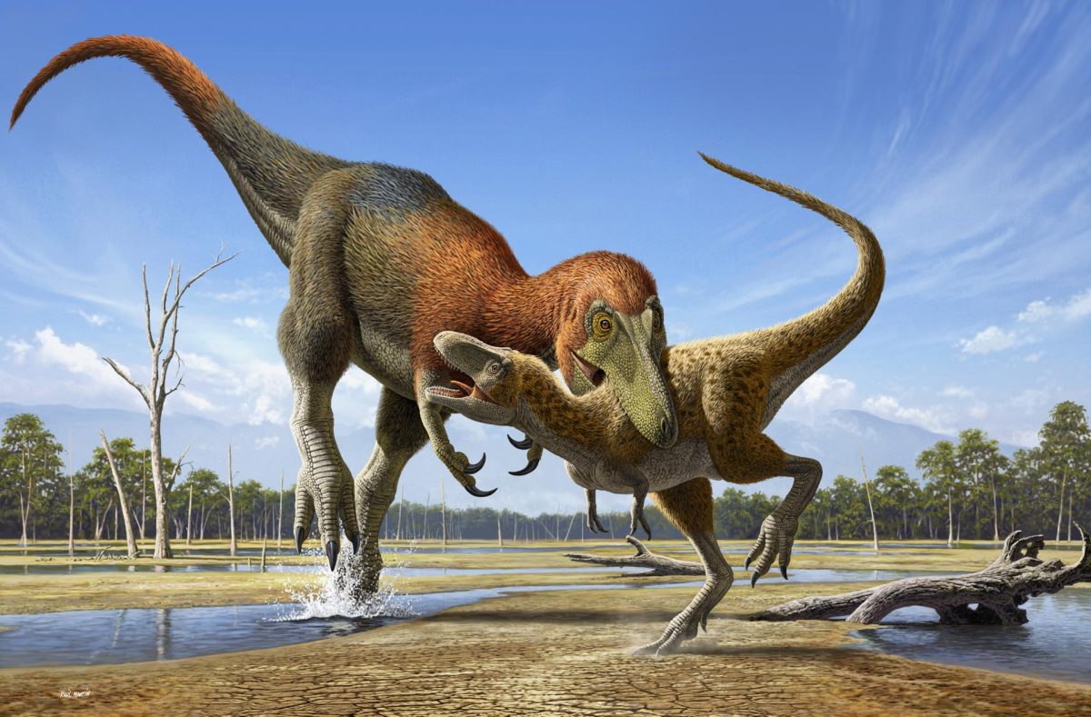 Fósiles de ejemplares jóvenes de T. rex son en realidad otra especie de ...