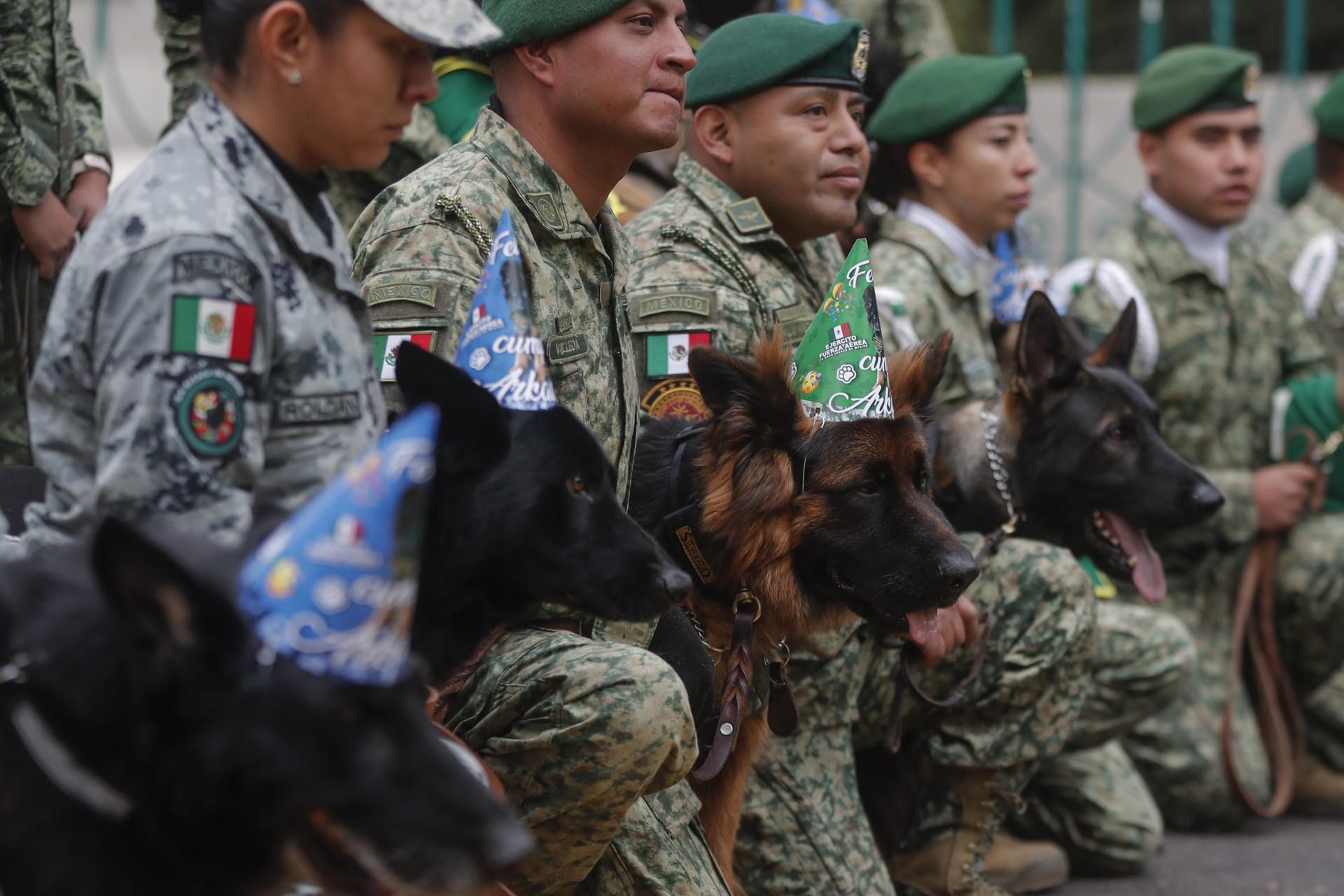 Ejército mexicano celebra cumpleaños de Arkadas, perro rescatista ...