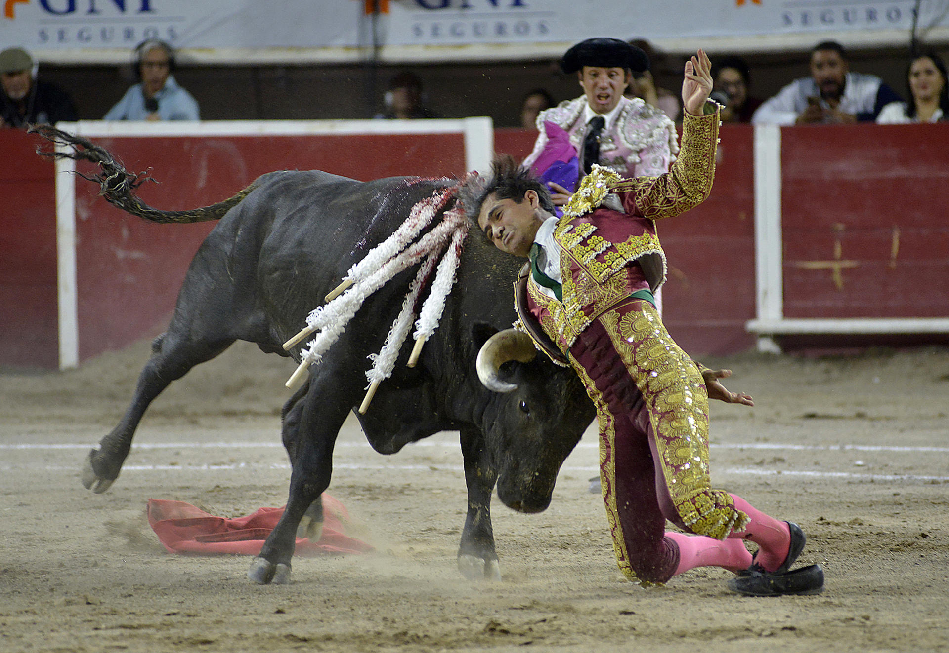Este domingo regresan corridas de toros a Ciudad de México con ...