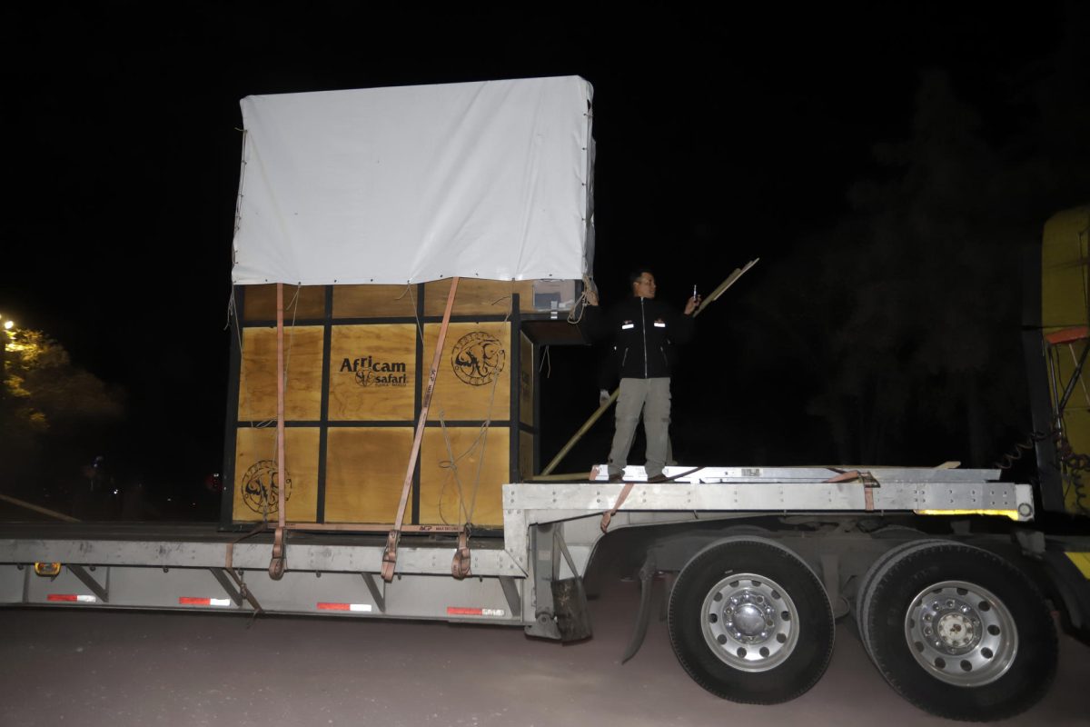 La jirafa Benito llega a un zoológico en México tras vivir maltratada ...