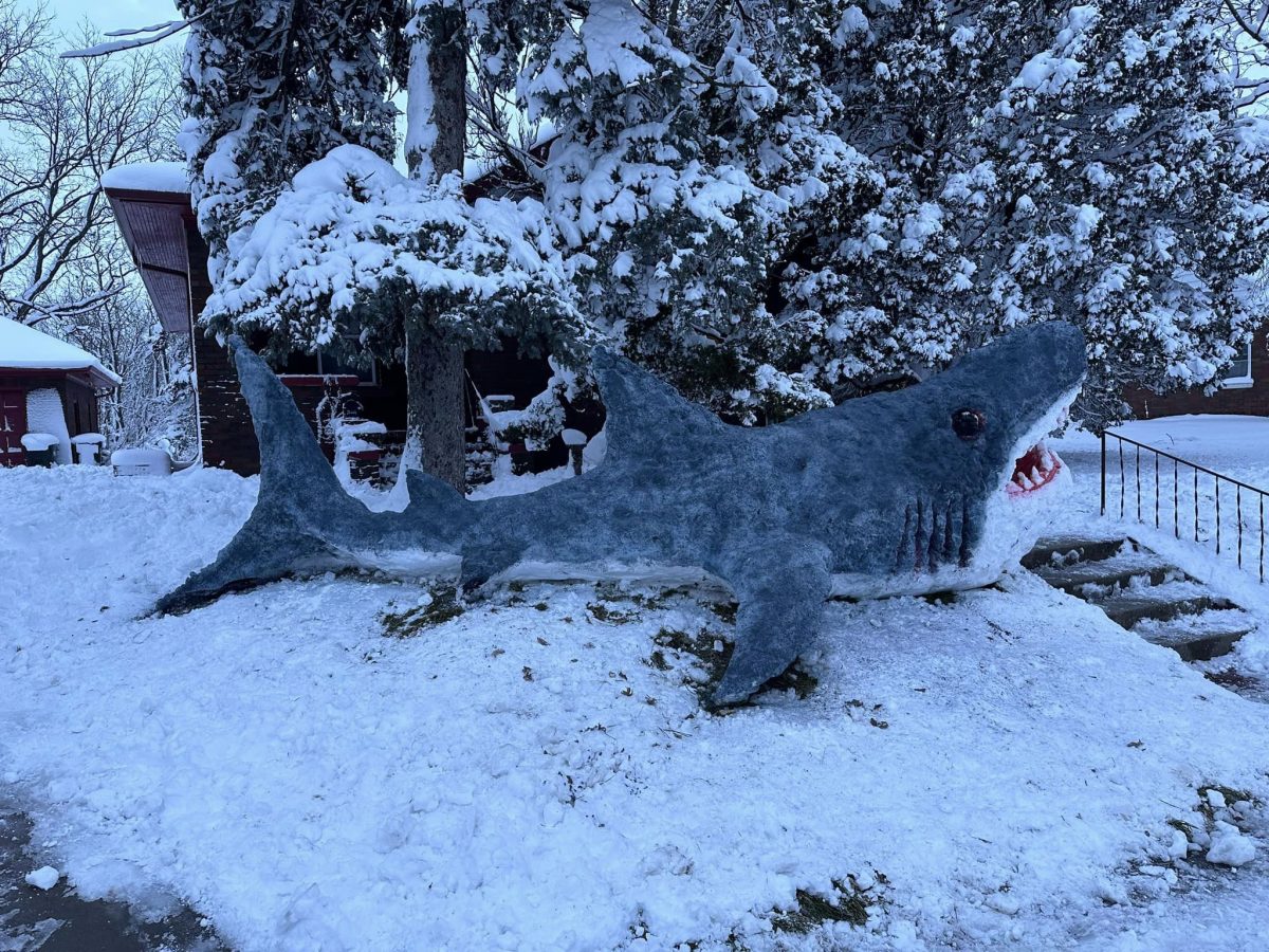 Talentoso artista hispano esculpe un tiburón de 20 pies en la nieve ...