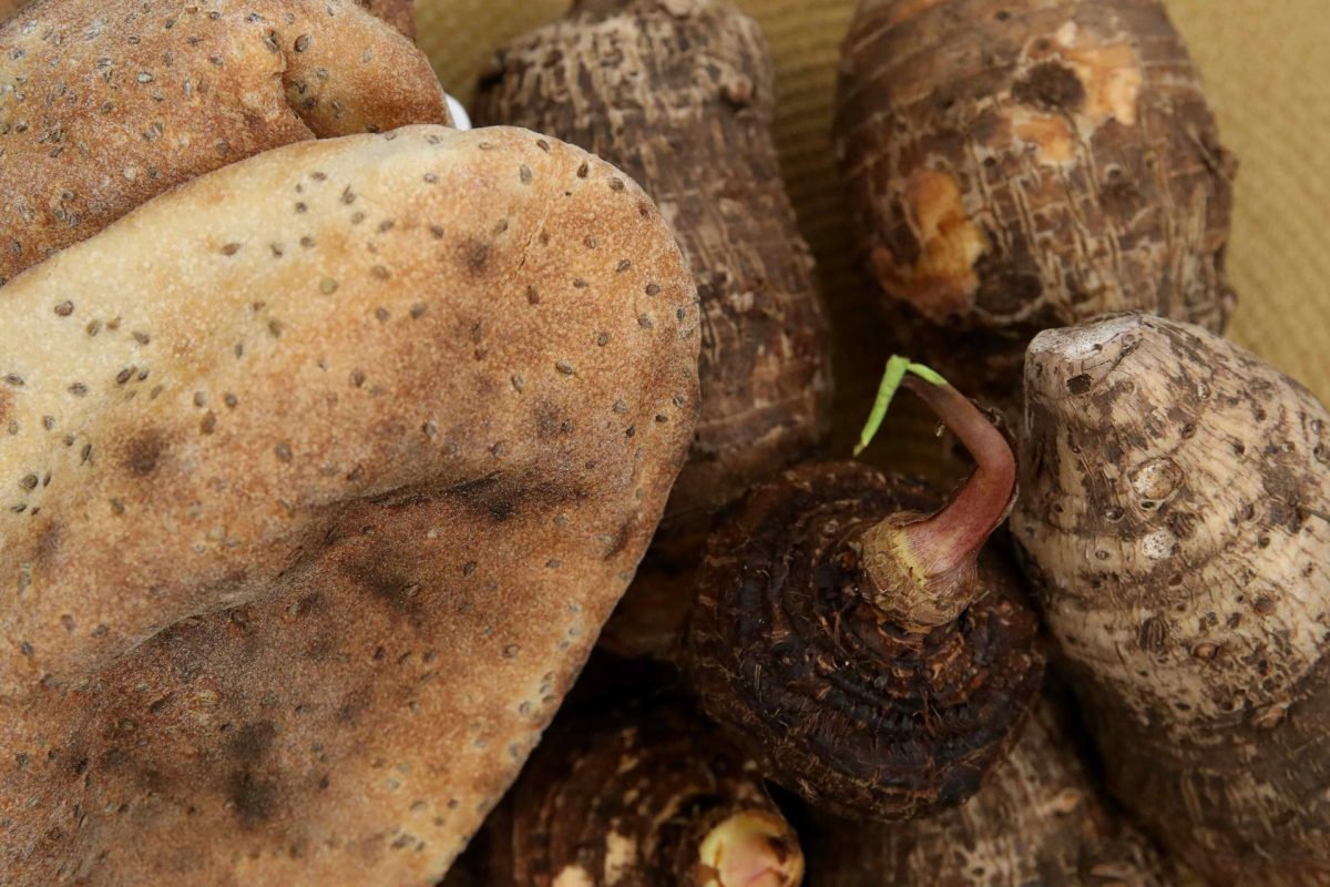 El tubérculo de la selva peruana que quiere llegar a las mesas del ...
