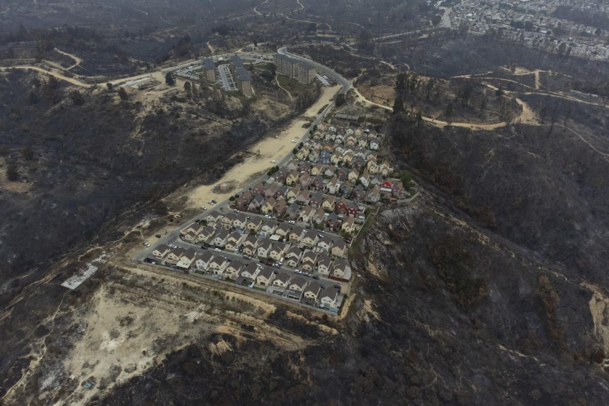 El "milagro" de Botania: cómo vecinos salvaron su barrio del incendio ...