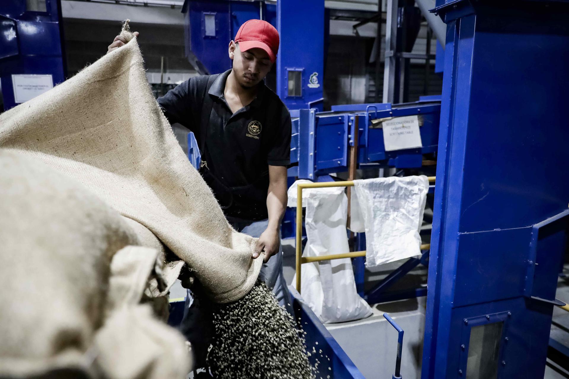 Costa Rica realiza su primera exportación de café certificado como ...