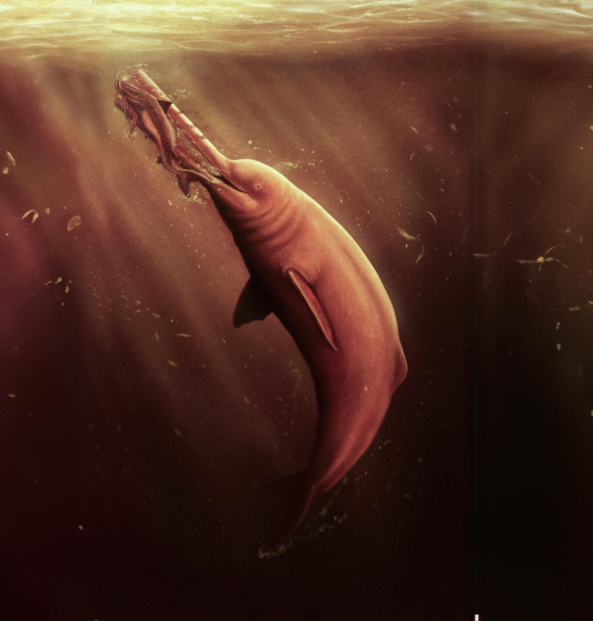 El delfín de río más grande de la historia navegó el Amazonas hace 16 ...