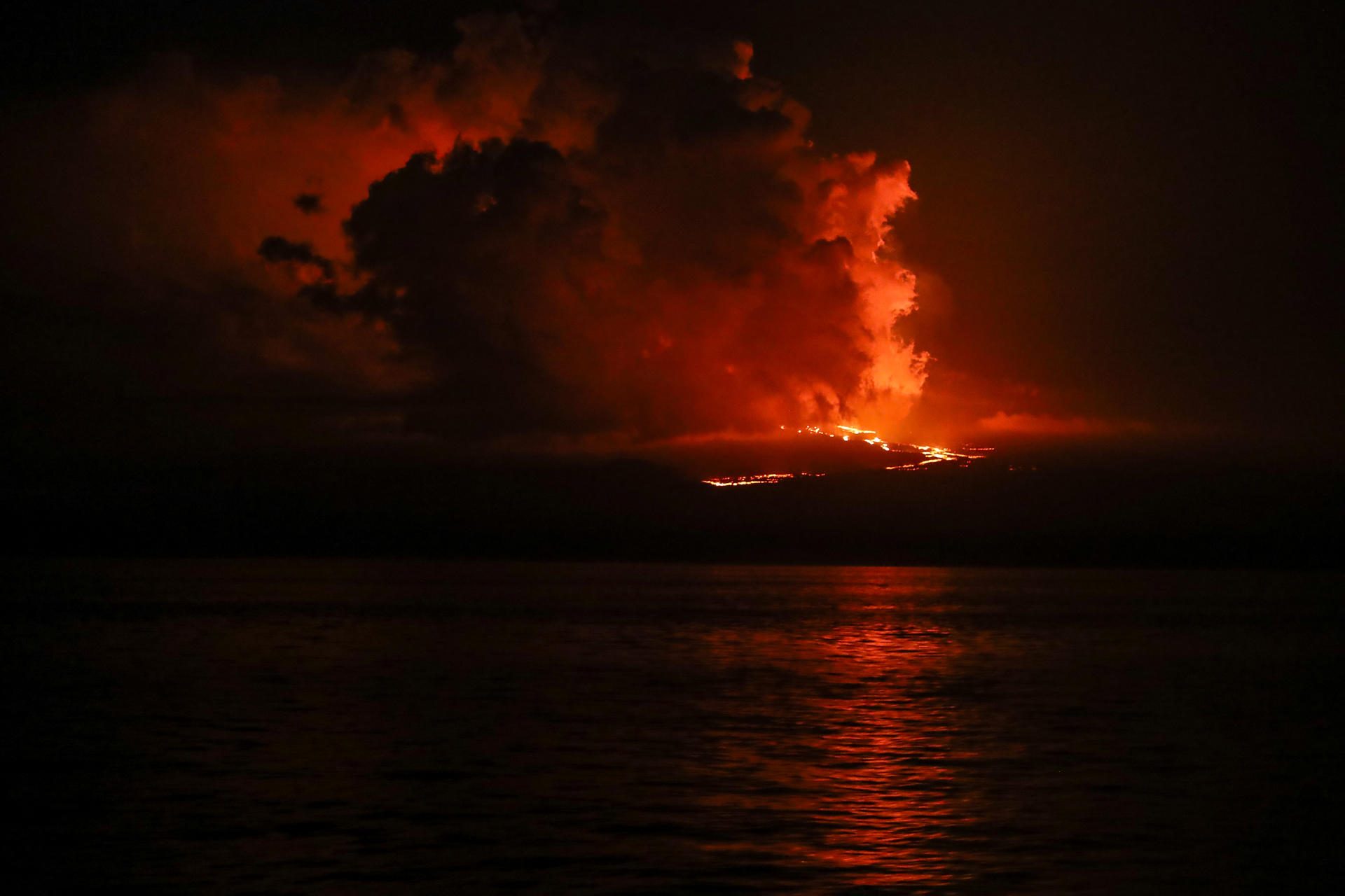Científicos documentan desde un barco el avance de la erupción del ...