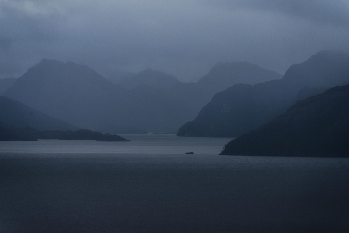 Chile crea el Parque Nacional Cabo Froward, casa de la conífera más ...