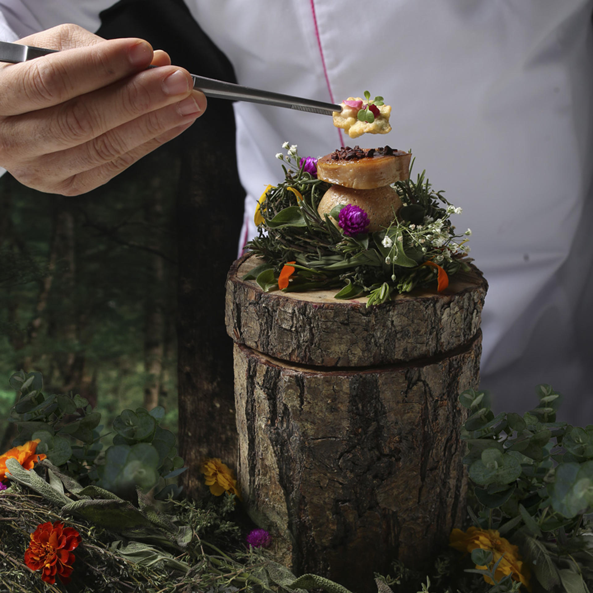 Frenessí, un "Disney gastronómico" que busca llevar al futuro la cocina ...