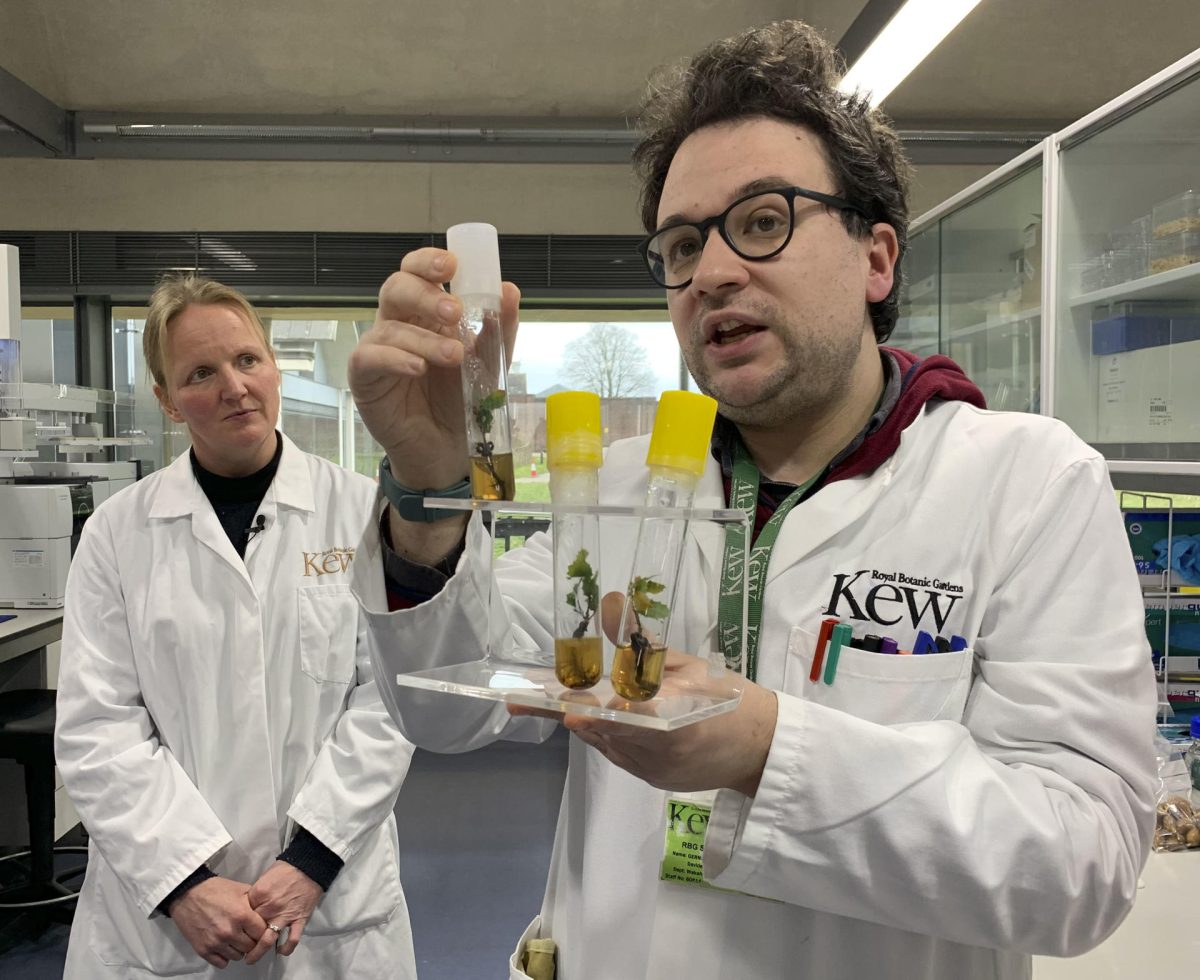 El mayor banco de semillas del mundo invierte en el futuro del planeta ...