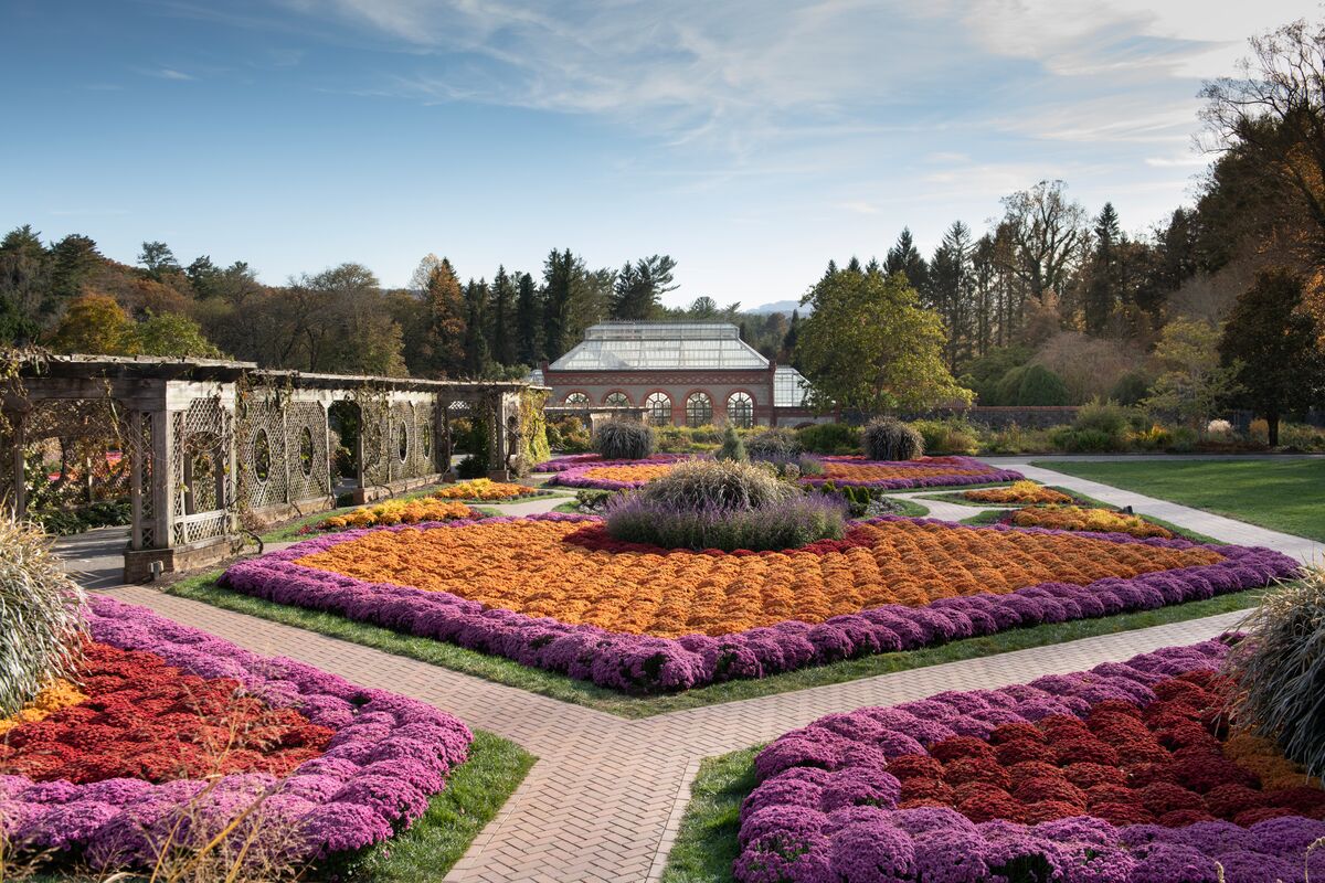 Jardín en NC: de los mejores del mundo para disfrutar la primavera ...