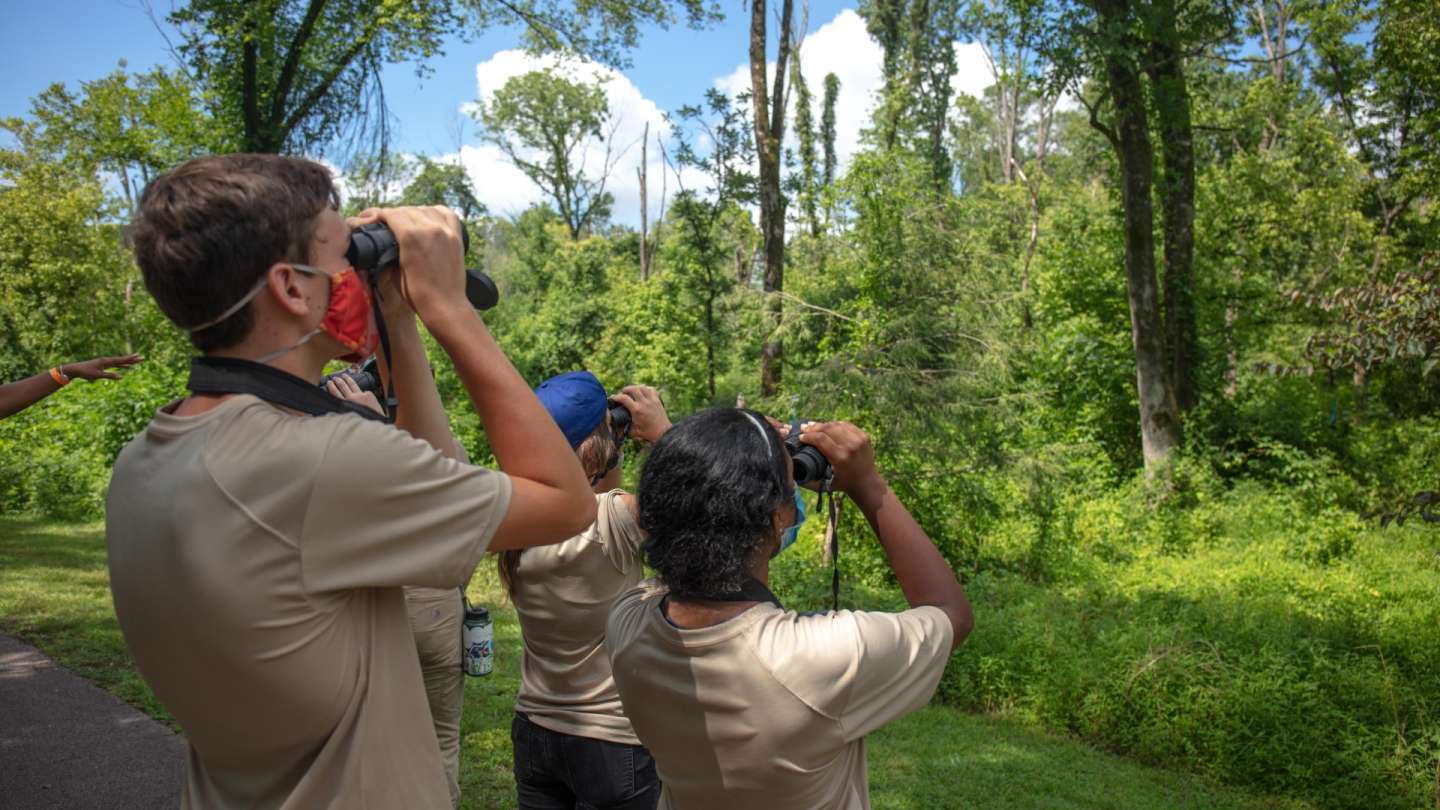 Disfruta de una caminata de observación de aves al amanecer | Qué Pasa