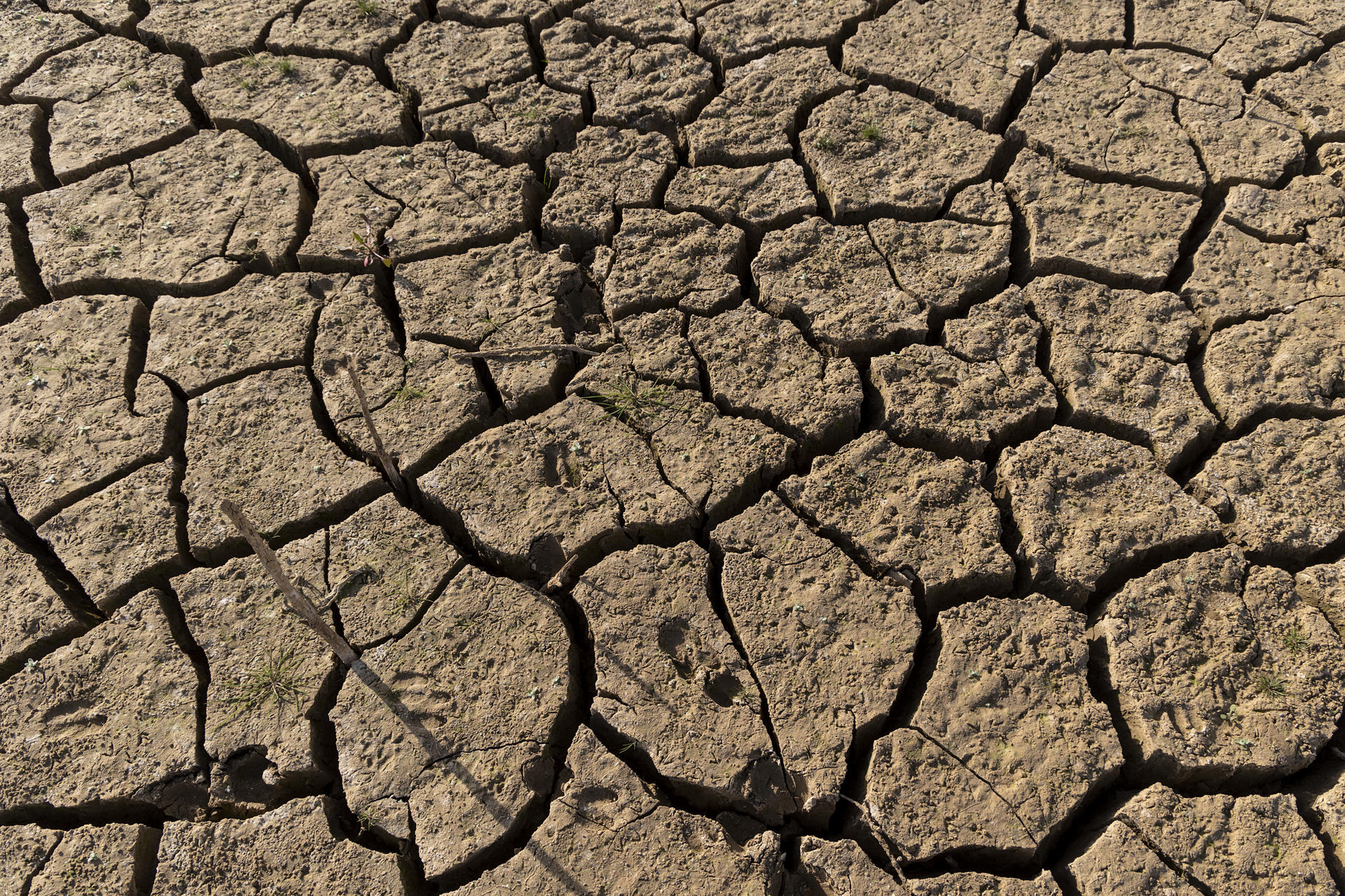 OCDE: El coste económico de los desastres naturales se ha más que ...