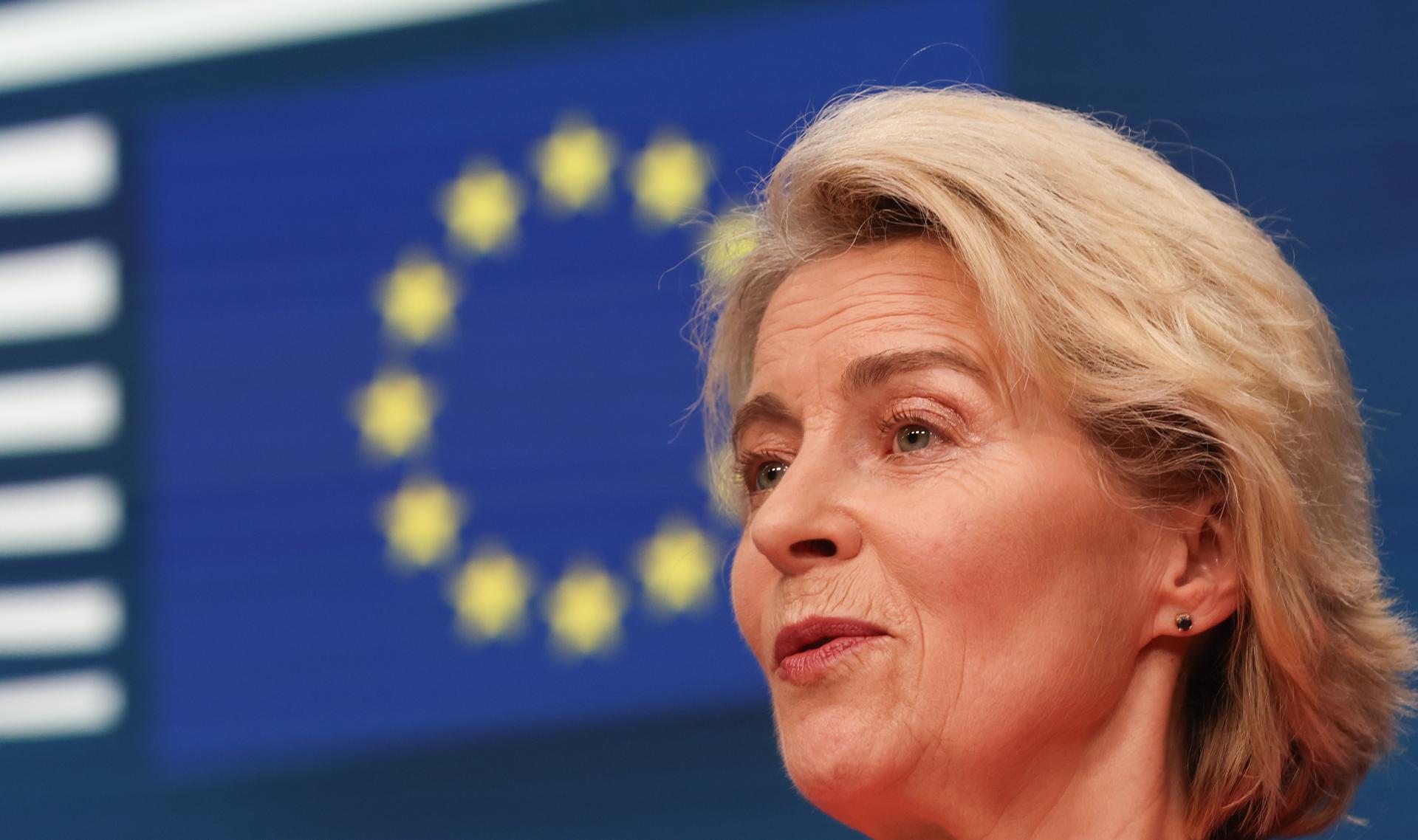 Von der Leyen sigue su cortejo en la Eurocámara para garantizarse los ...