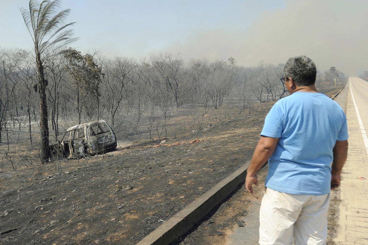 Se incrementan los incendios forestales en Bolivia y el municipio de ...