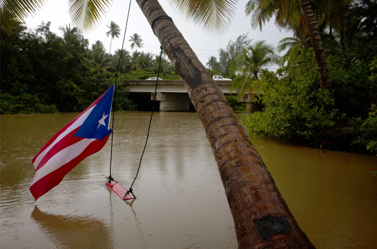Puerto Rico sufrió 23 millones de dólares en pérdidas en el sector ...