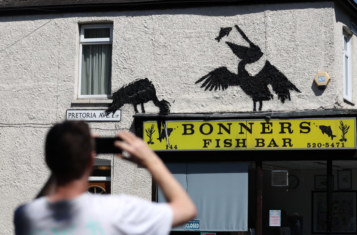 Pelícanos en un "fish and chips", la quinta pintura del zoo urbano de ...