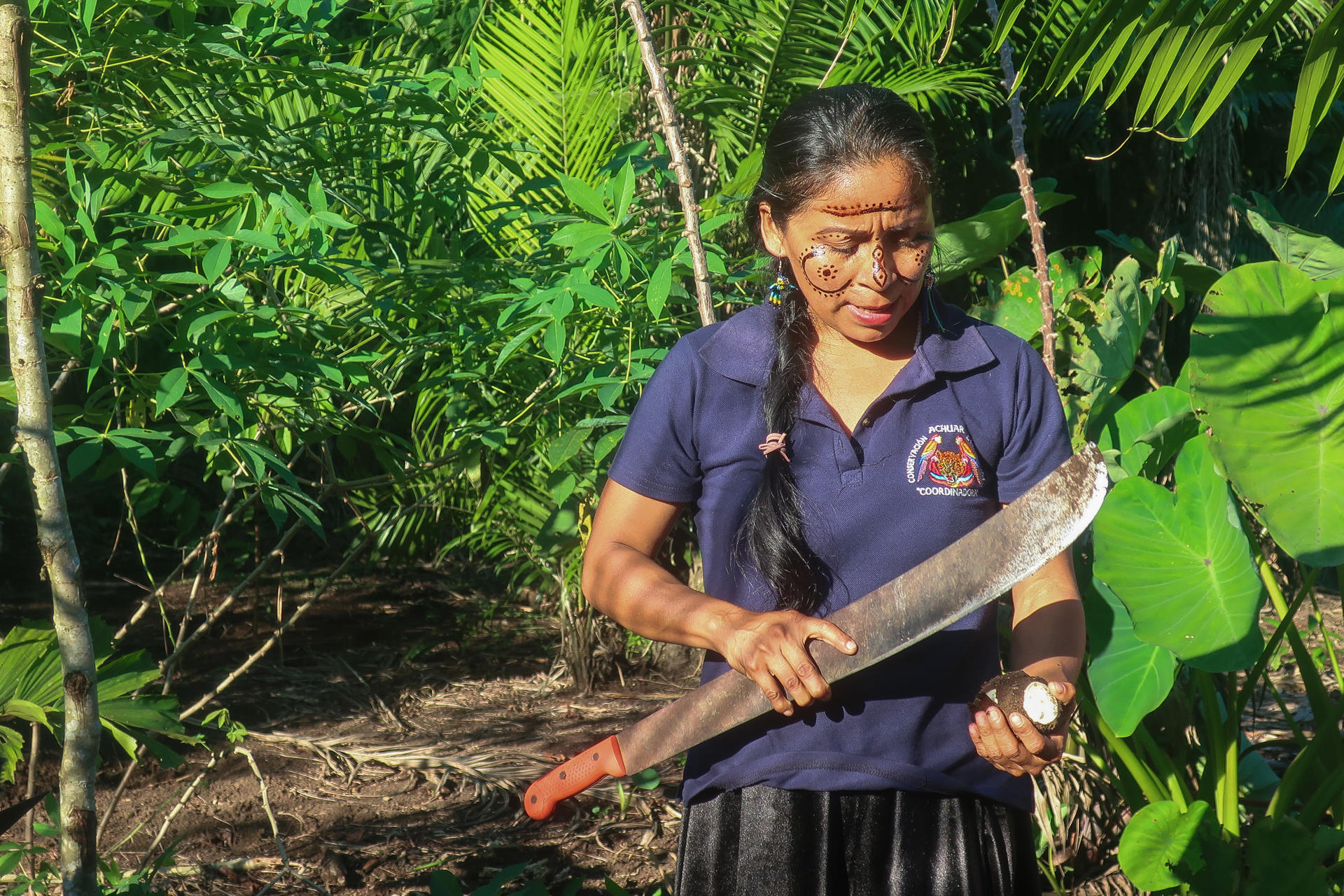 Las 'chacras' de los pueblos indígenas de la Amazonía nutren, curan y ...