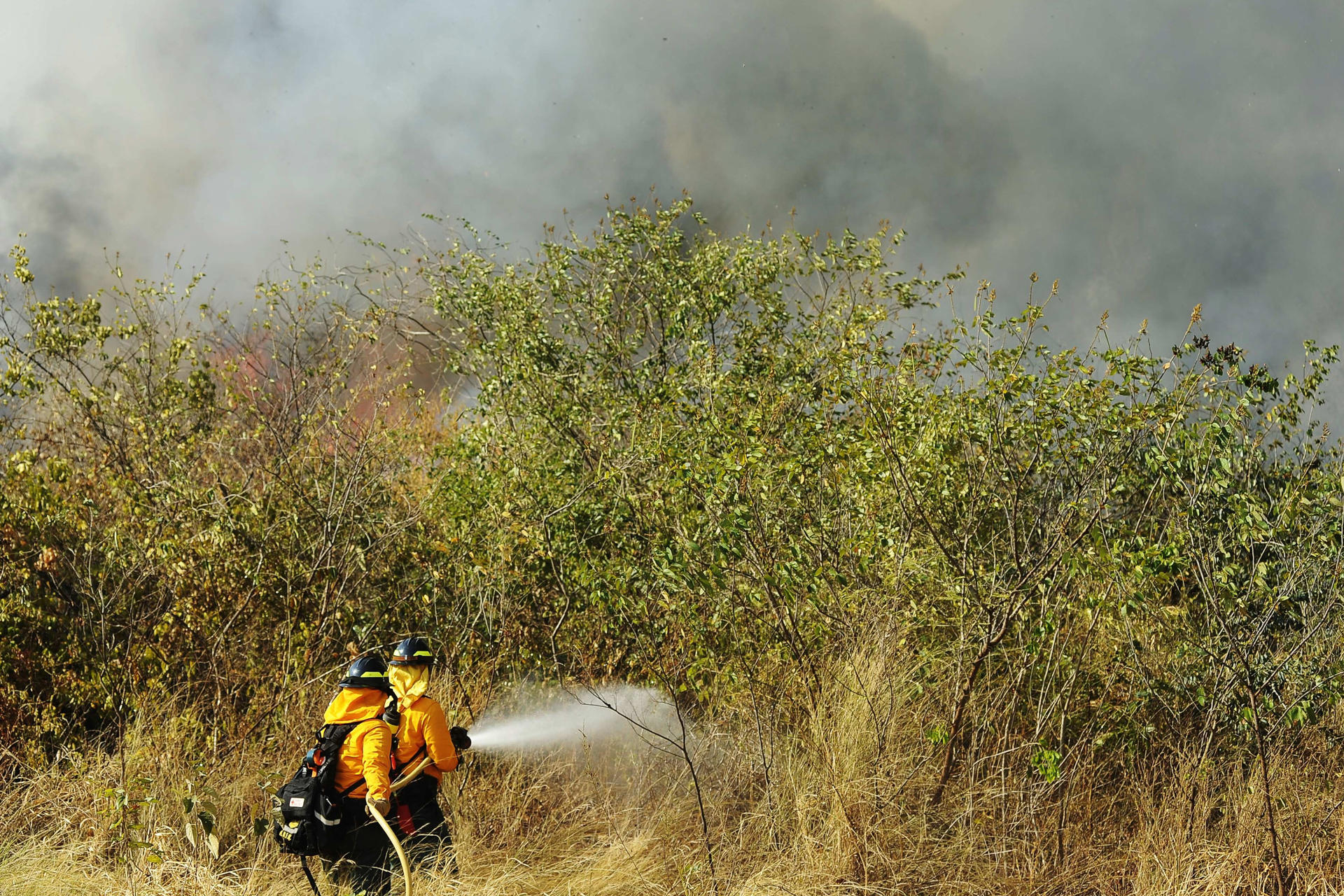 Bolivia y Brasil coordinarán acciones para combatir los incendios ...