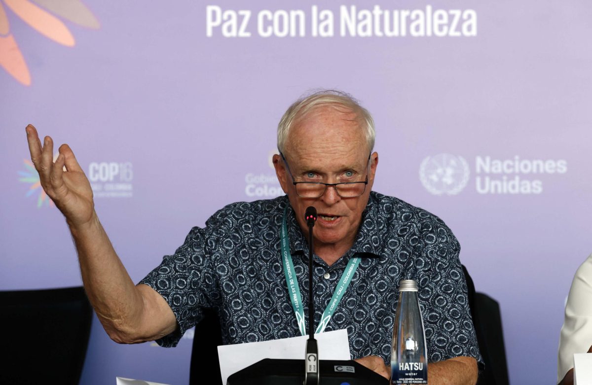 Combustibles fósiles y minería amenazan ecosistemas vitales del mundo ...