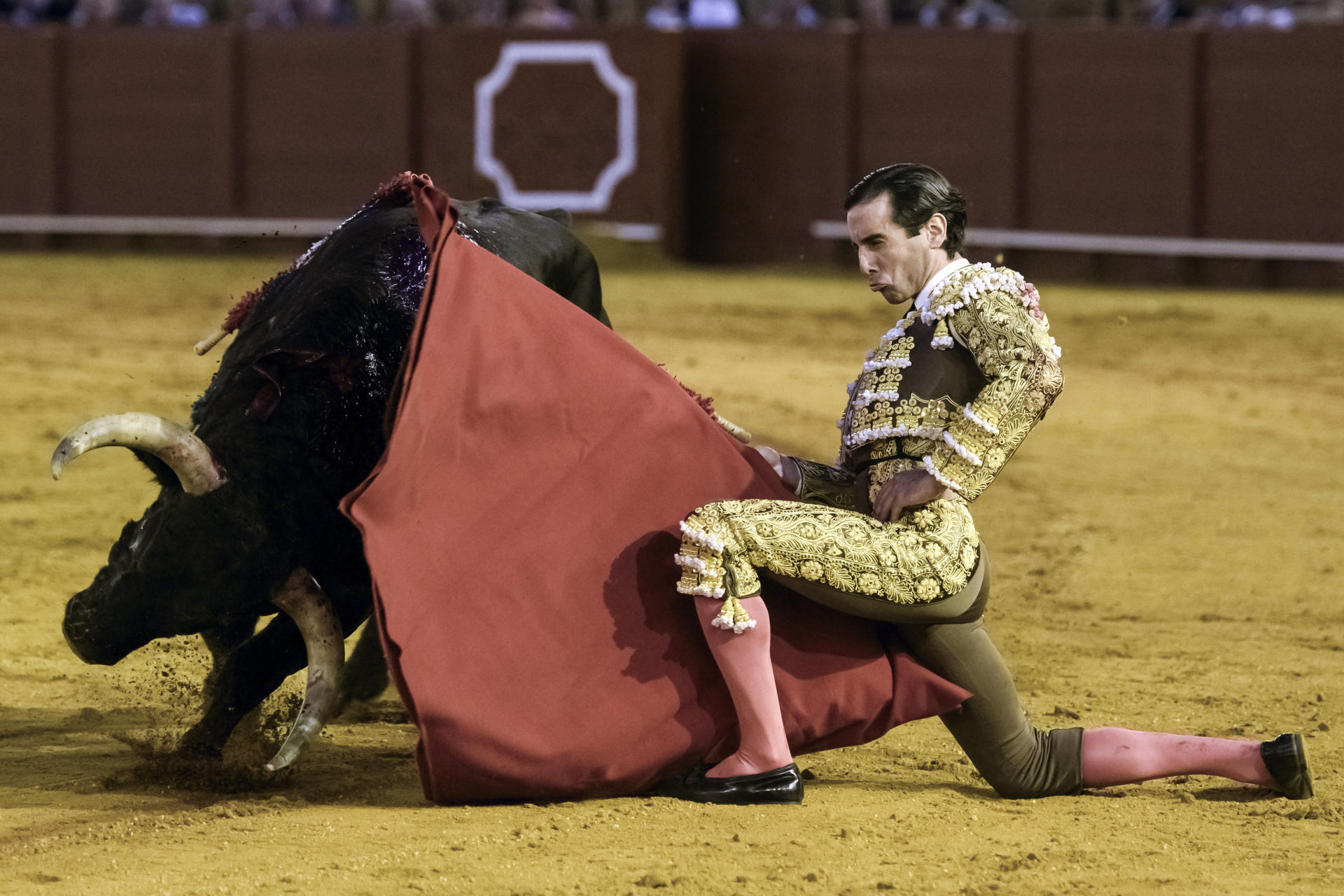 El torero español Juan Ortega confirma su alternativa en la Plaza ...