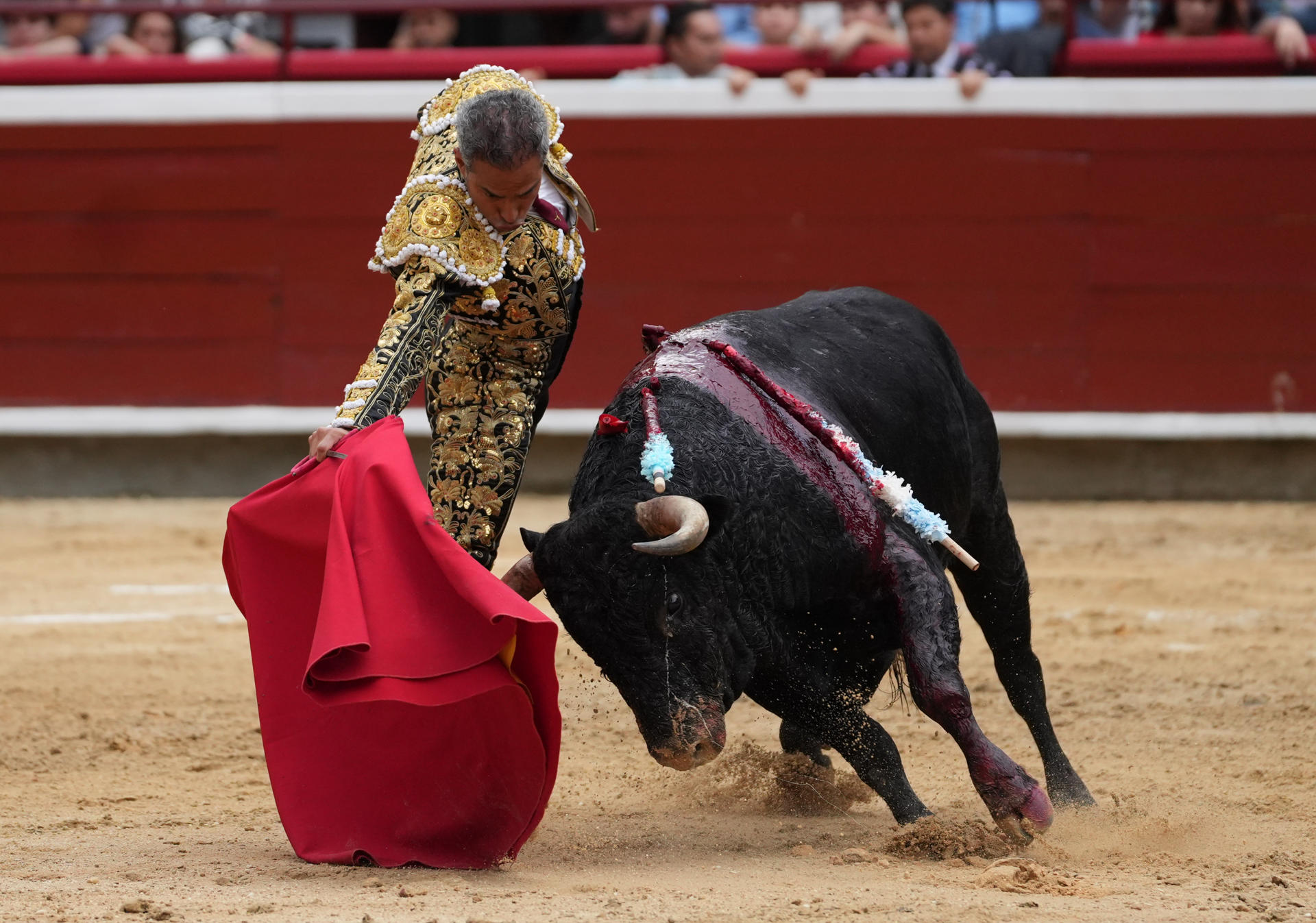 Puerta grande para Luis Bolívar en la primera corrida de la Feria de ...