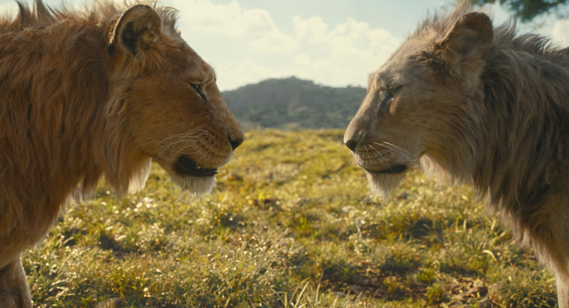 'Mufasa: The Lion King' viaja a los motivos que hicieron de Scar el ...