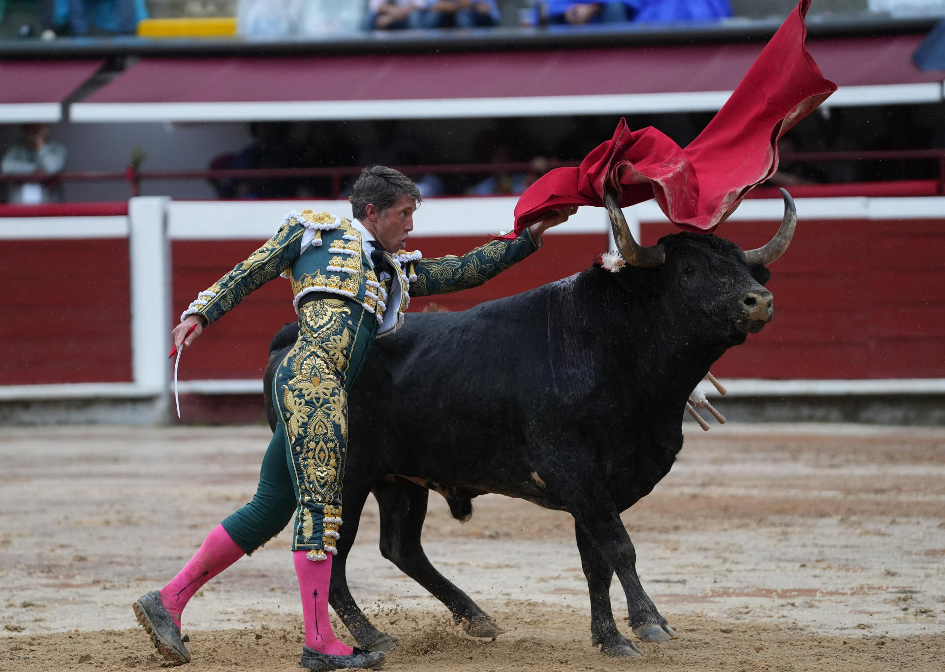Terna y ganadería a hombros en el cierre de la Feria de Cali | Qué Pasa