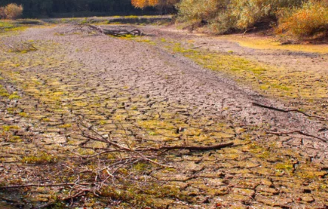 Sequía en NC: 99 de los 100 condados sufren escasez de agua | Qué Pasa