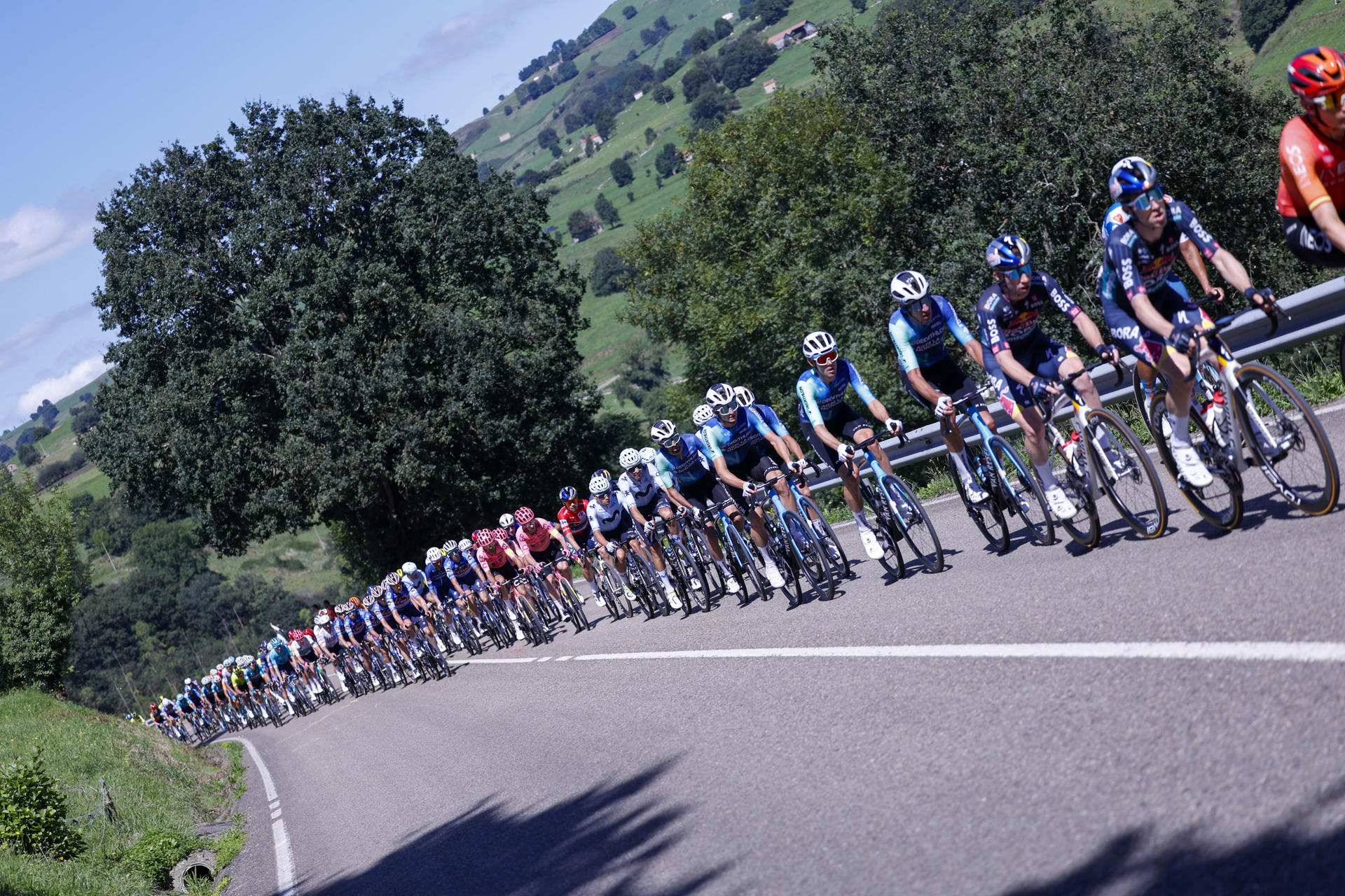 El trasplante de heces de deportistas de élite mejora parámetros ...