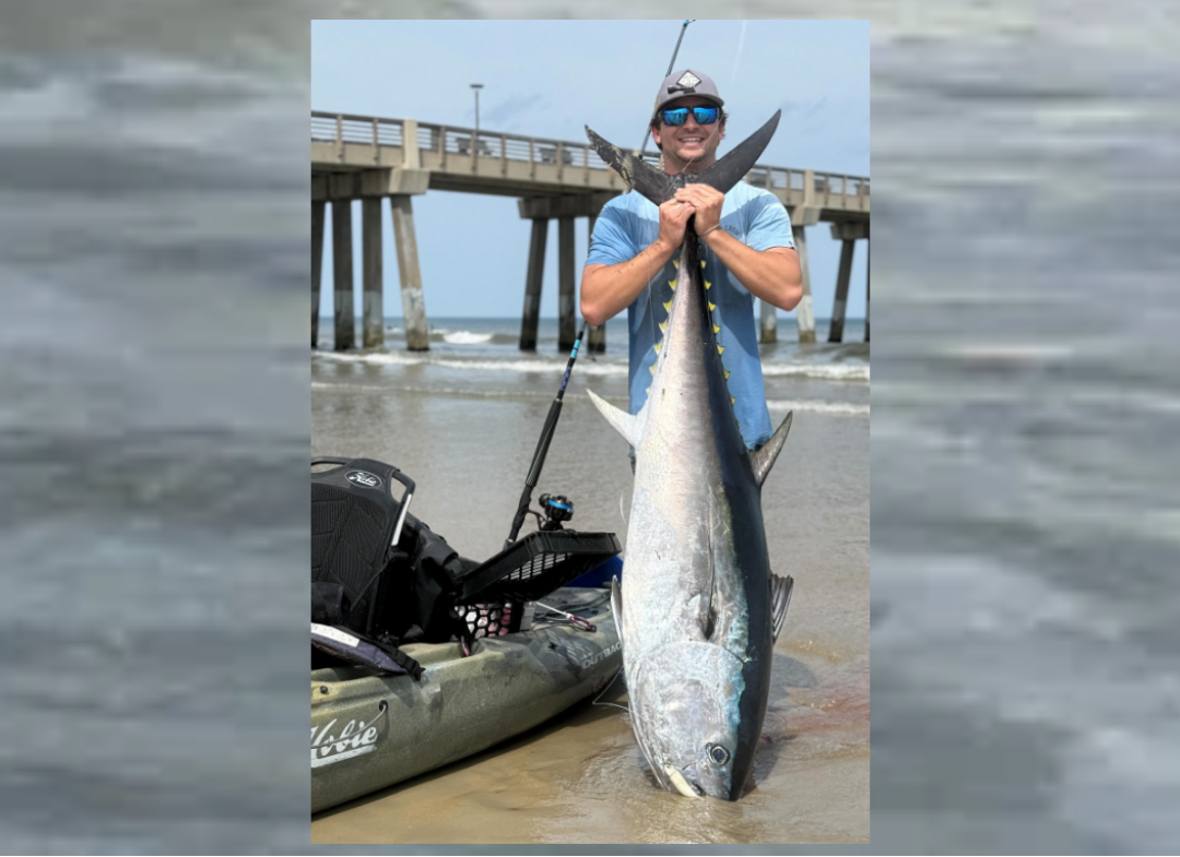 Pescador en kayak atrapa atún gigante en playa costas de NC | Qué Pasa