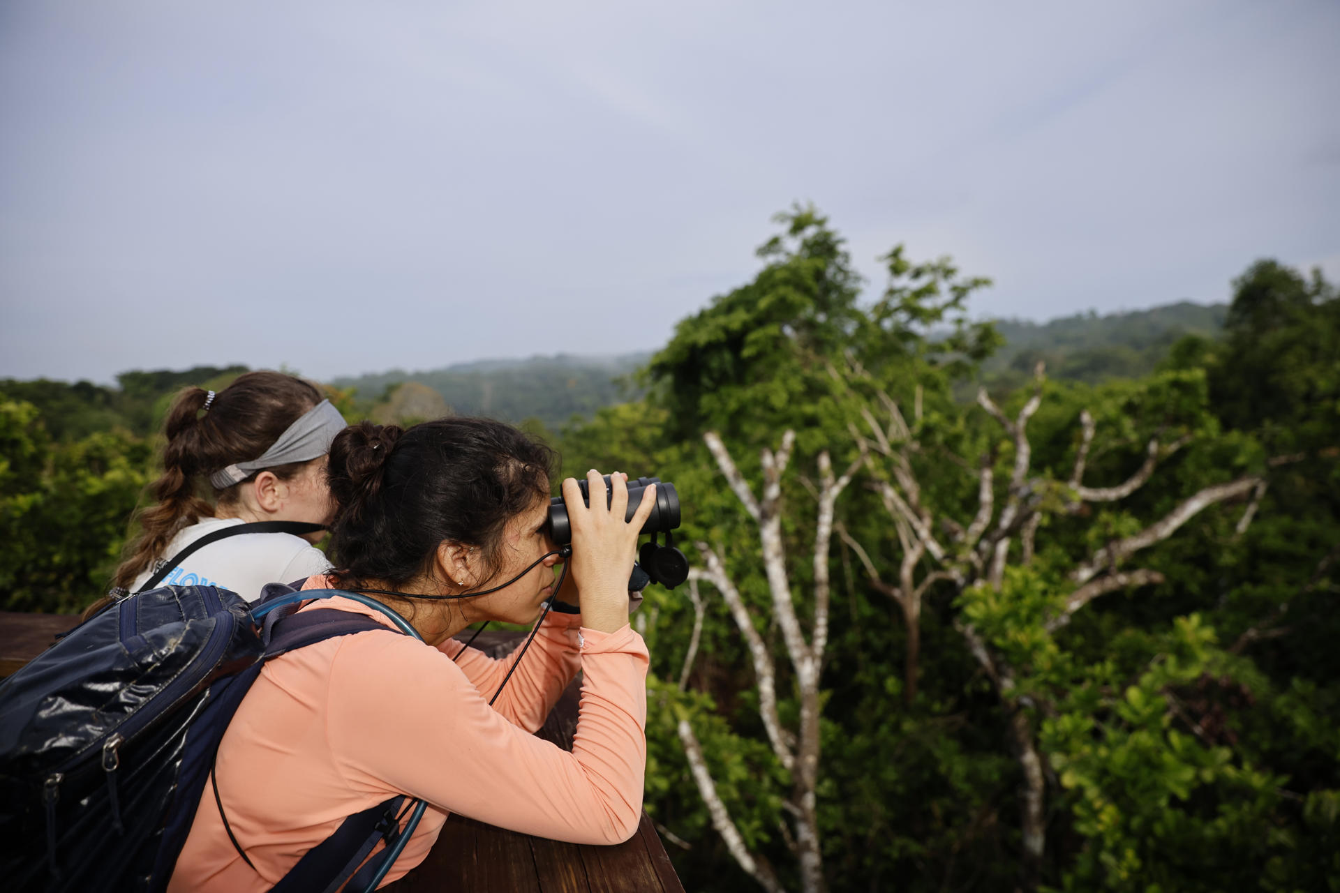 Panamá se consolida como destino para la observación de aves en el ...