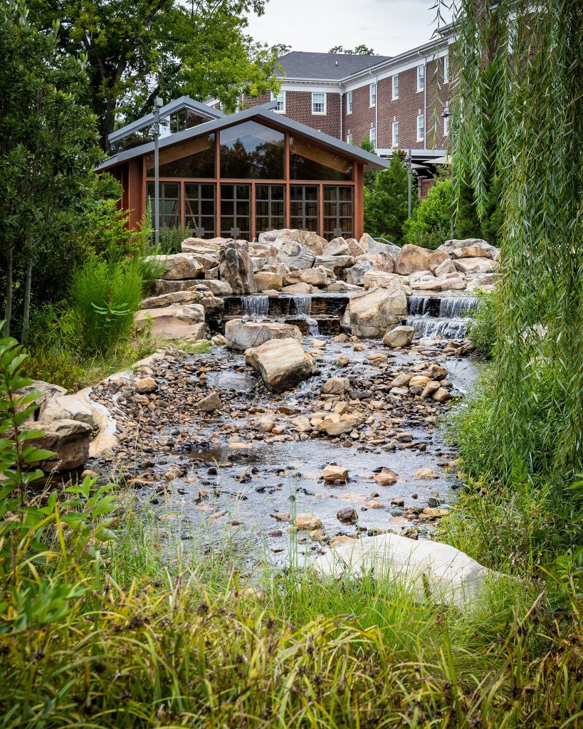 Downtown Cary Park: un oasis verde que cuida el medioambiente | Qué Pasa