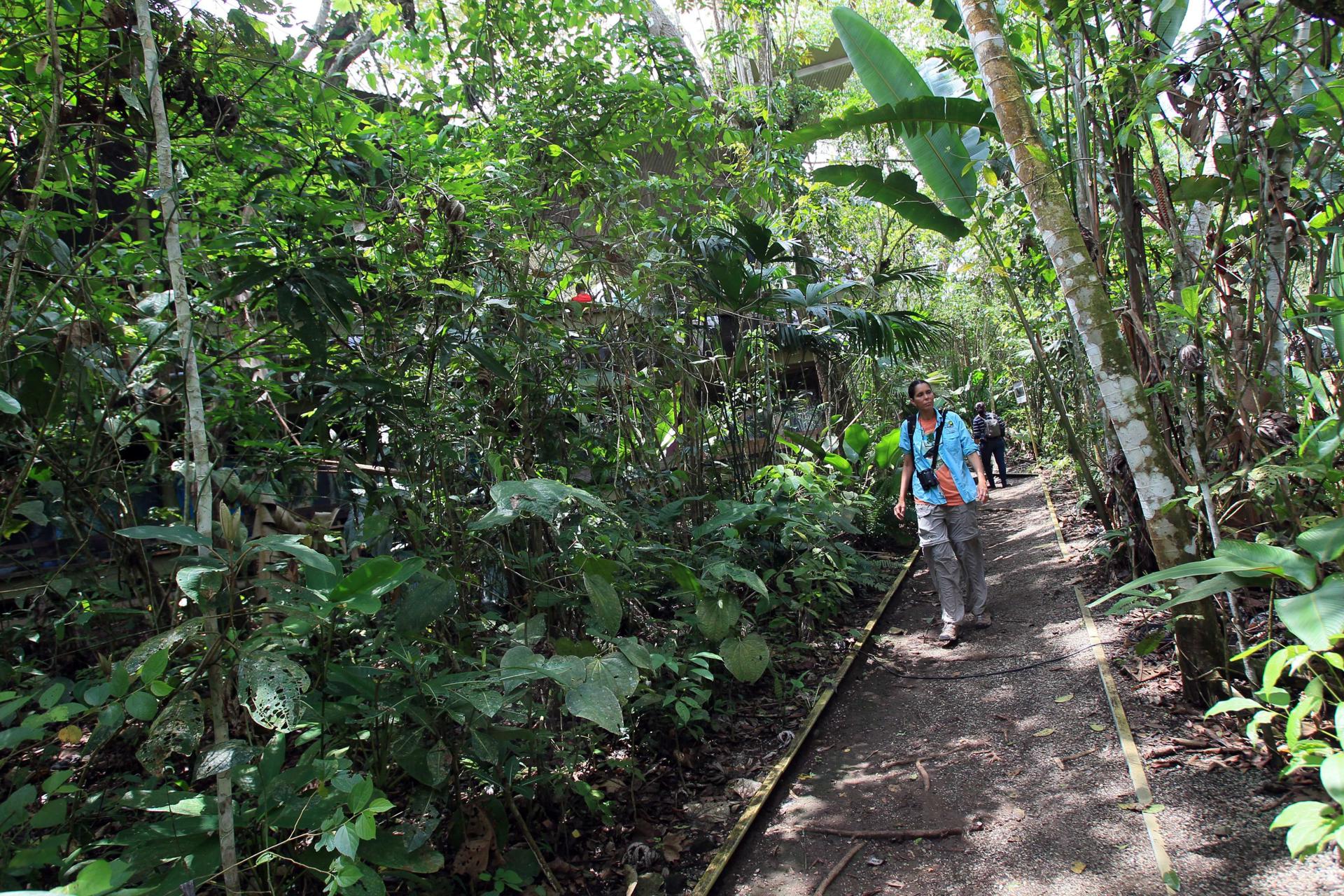 Lanzan un proyecto para potenciar el ecoturismo en zonas rurales con ...