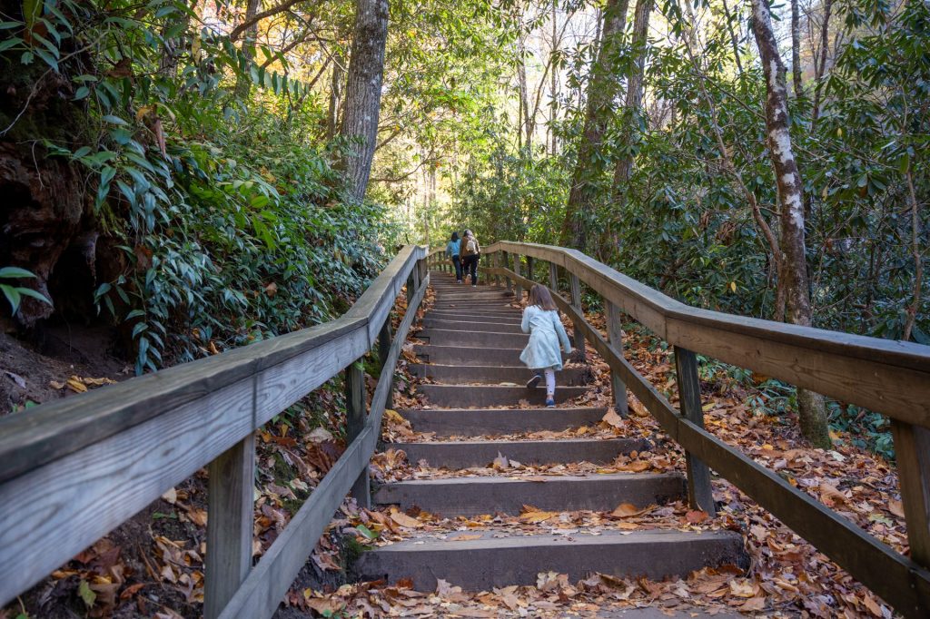 Mingo Falls: un tesoro en las montañas del oeste de NC | Qué Pasa