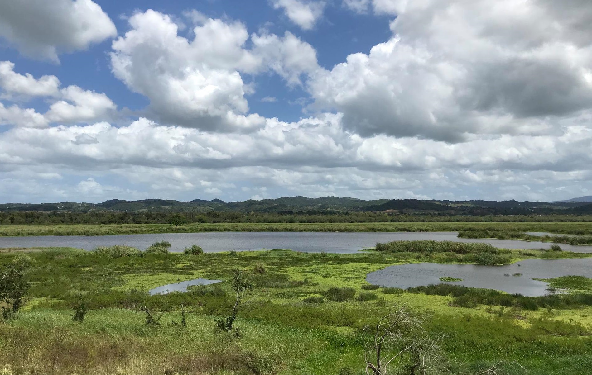 Cabo Rojo, la joya de Puerto Rico, y un santuario de la naturaleza ...