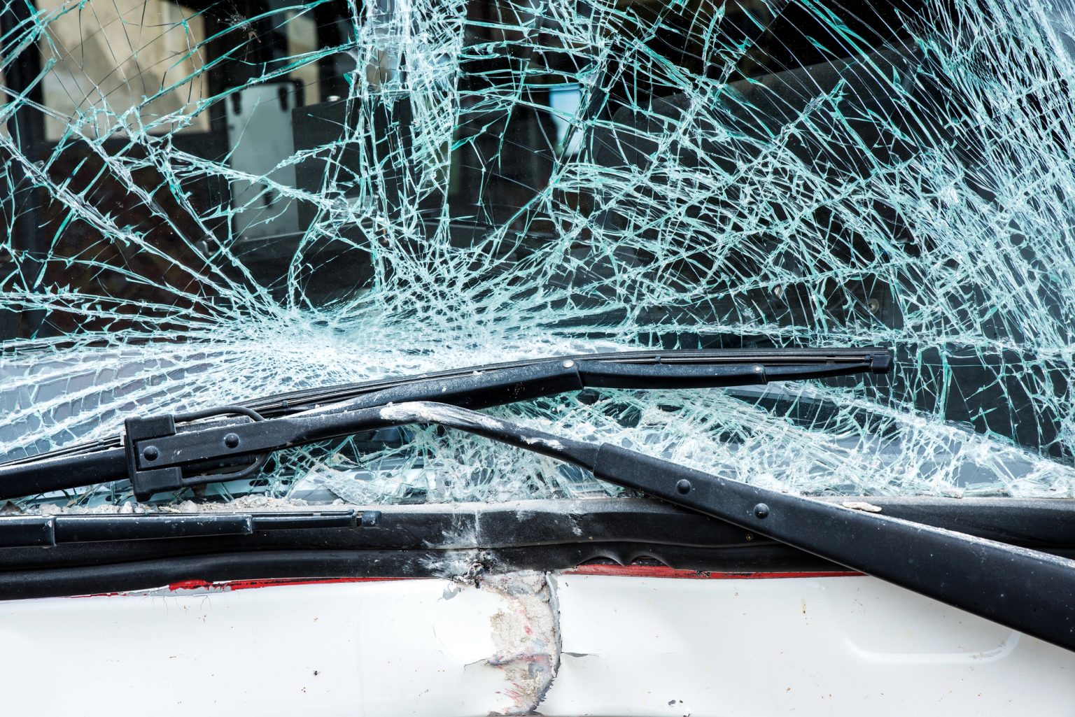 High Point: Conductor ayuda a animal herido y muere atropellado | Qué Pasa