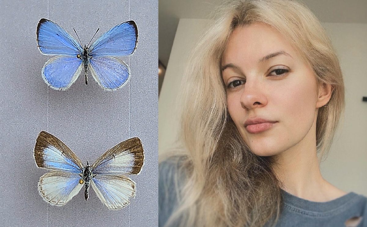 Mariposa llevará el nombre de Iryna Zarutska, asesinada en Charlotte ...
