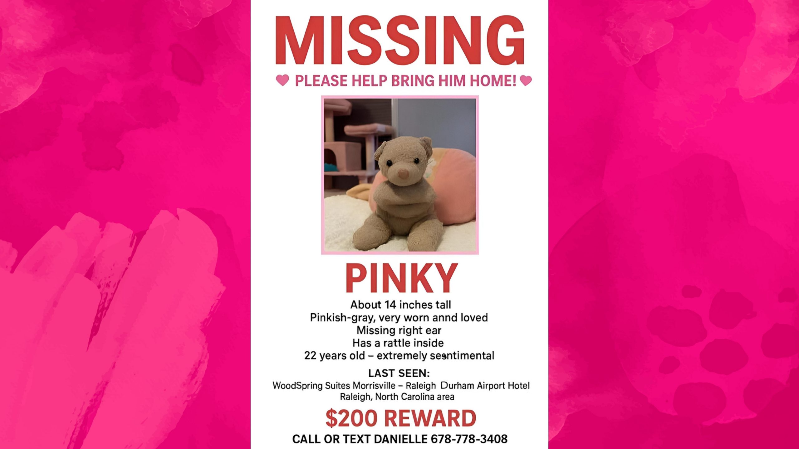 Buscan a Pinky, un oso de peluche perdido en Raleigh | Qué Pasa