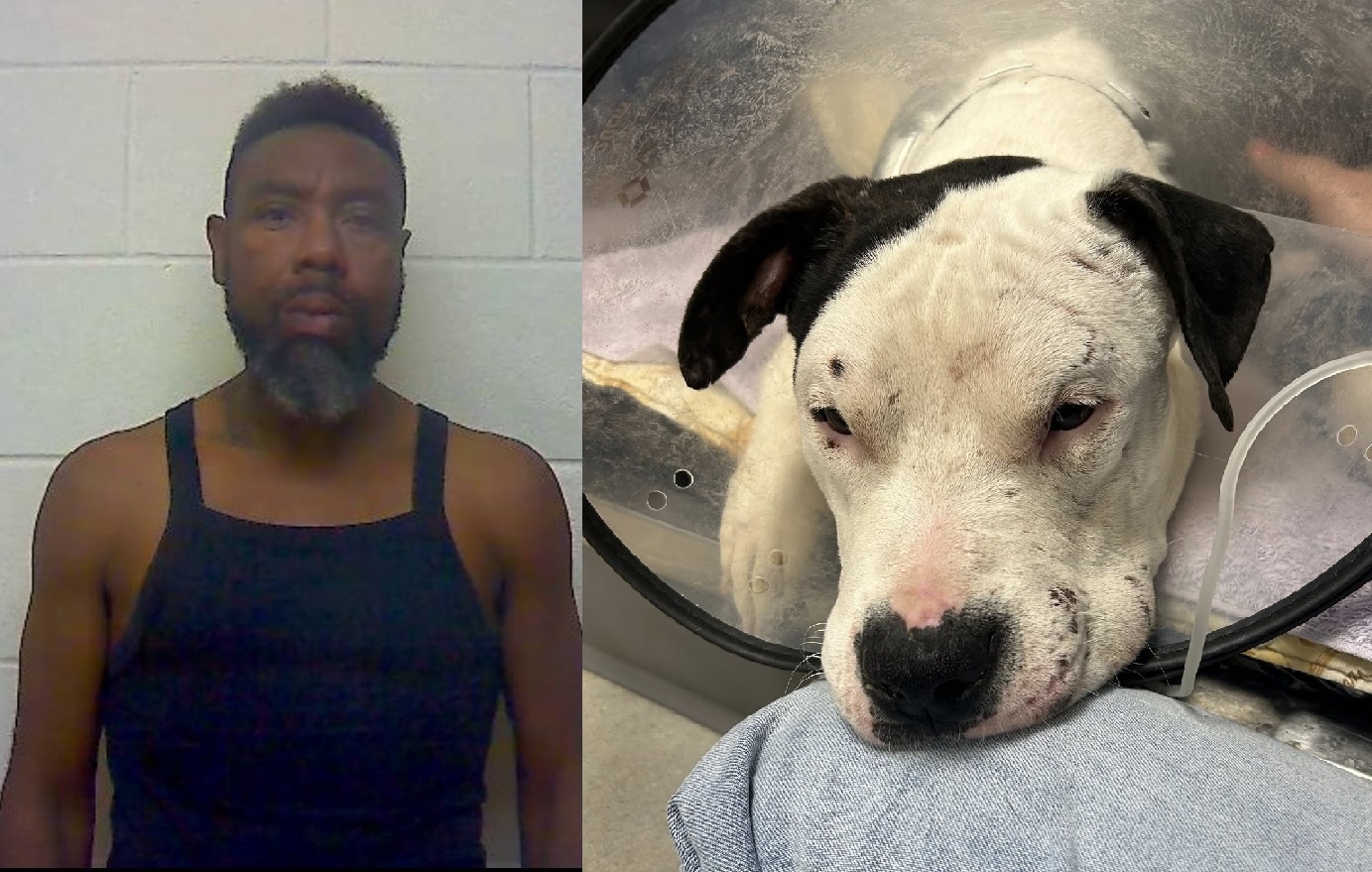 Rescatan a perros maltratados y arrestan a un hombre en Craven | Qué Pasa