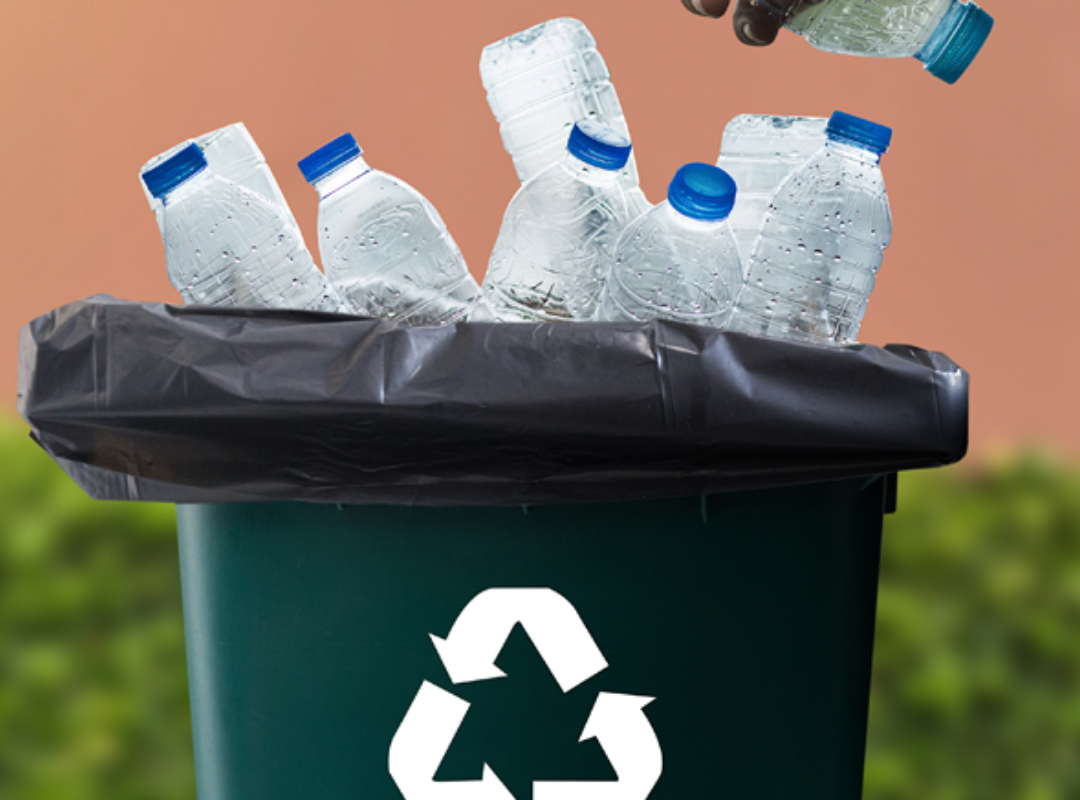 Guía para un reciclaje correcto en Mecklenburg | Qué Pasa