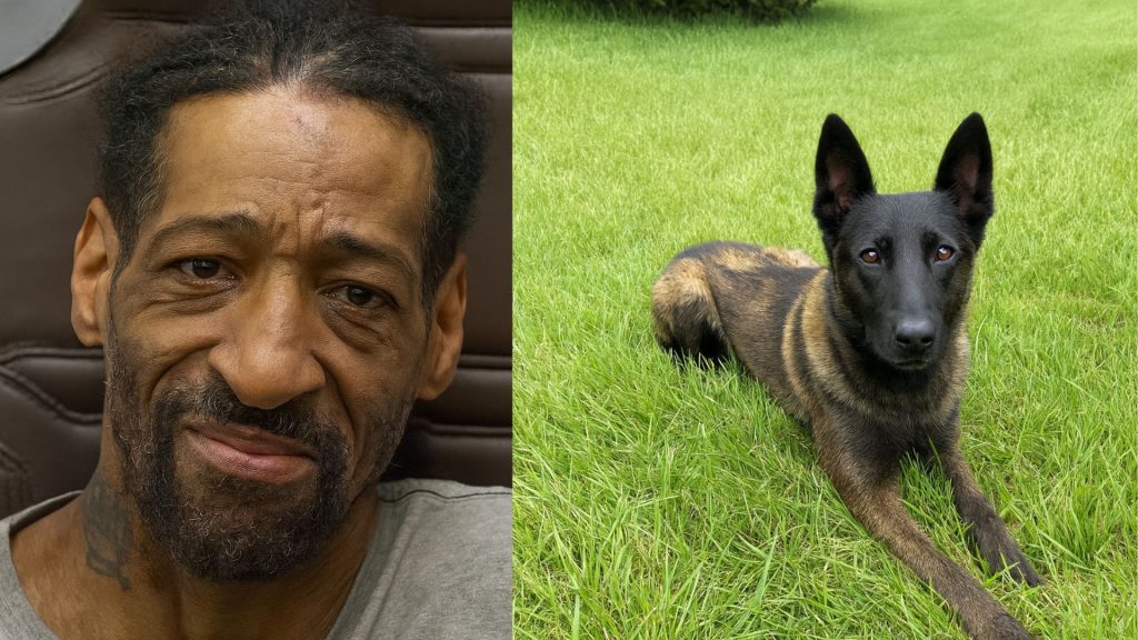 ¡El colmo! Hombre muerde la oreja a perro policía en Burlington | Qué Pasa