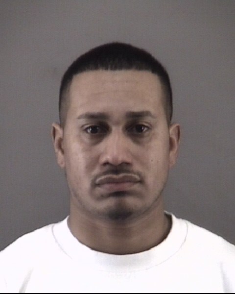 Desmantelan en Winston-Salem una rede de pelea de gallos | Qué Pasa